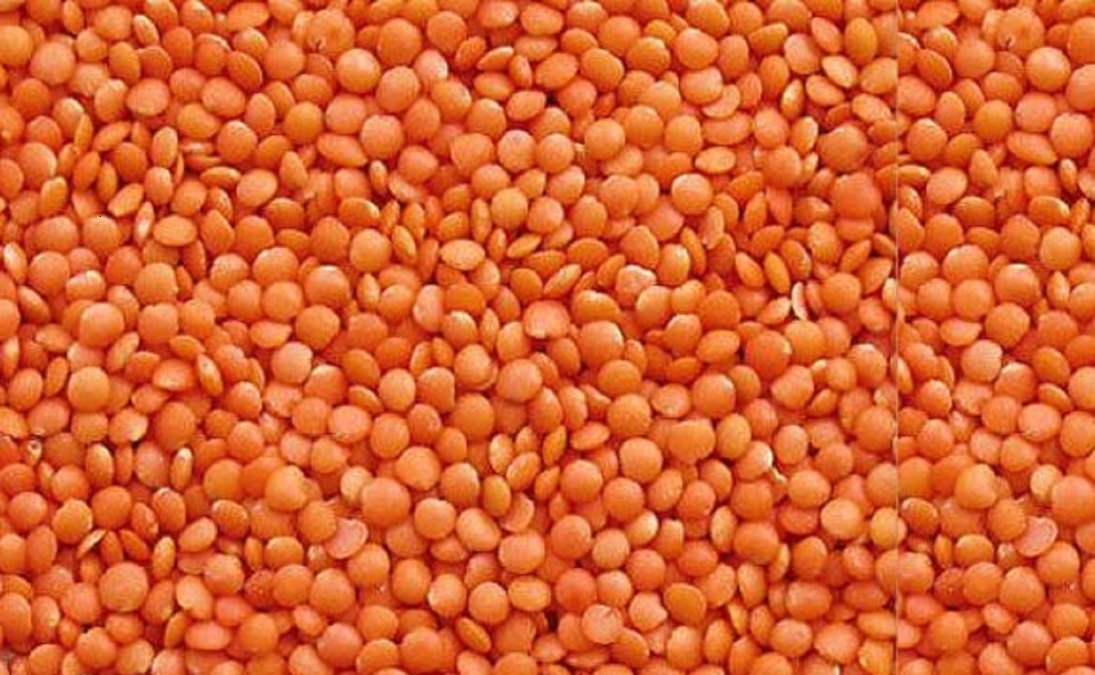 Premium Whole Red Lentil (Nipa Brand) Export from Australia to ...